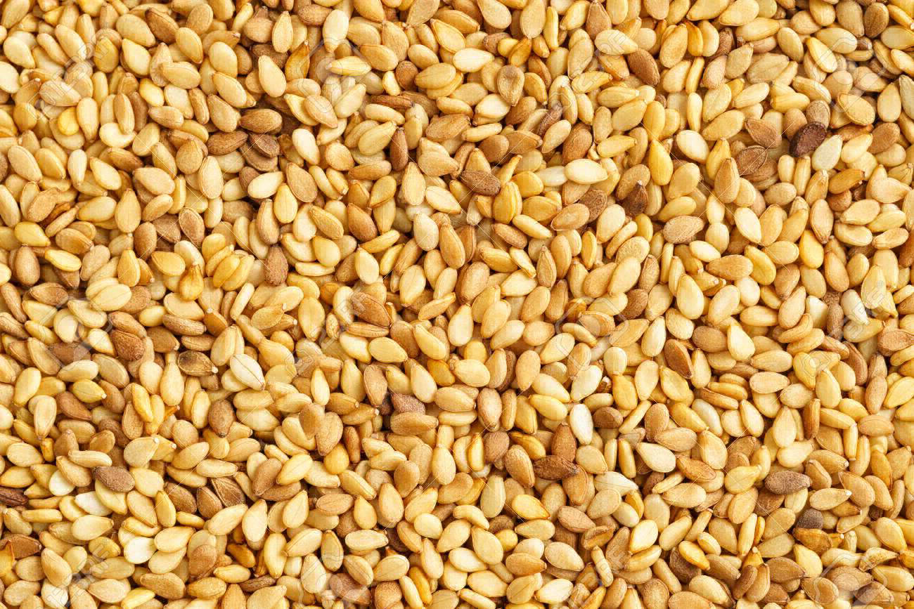 Home [amago-tanzania.com]